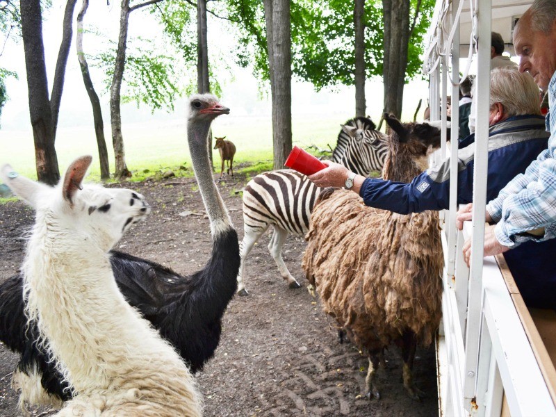 Hidden Valley Animal Adventure | Niagara Falls USA